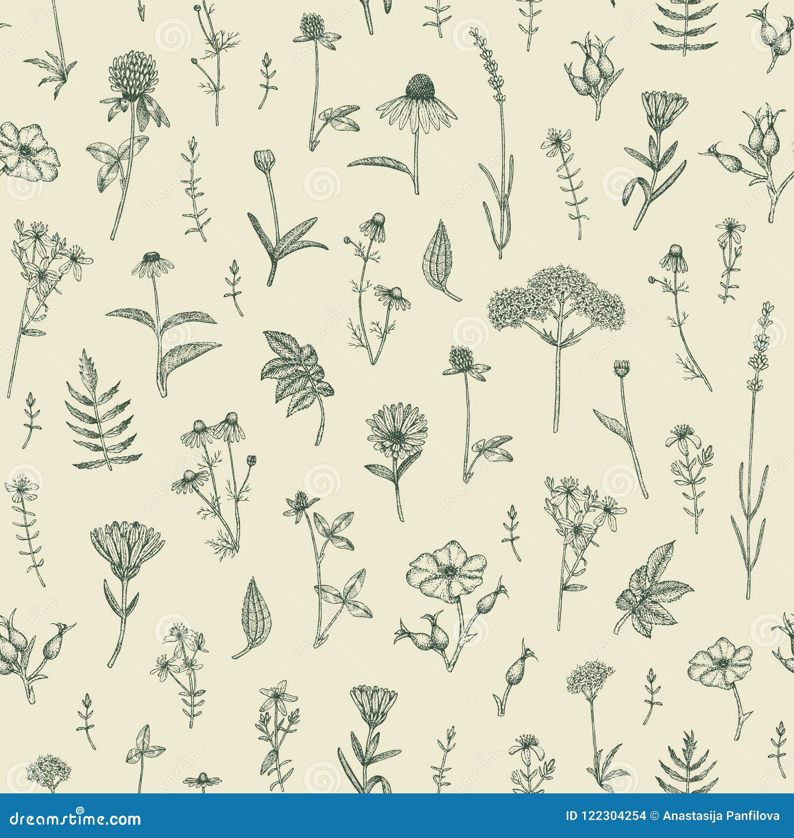 Plants pattern. stock vector. Illustration of flora - 122304254