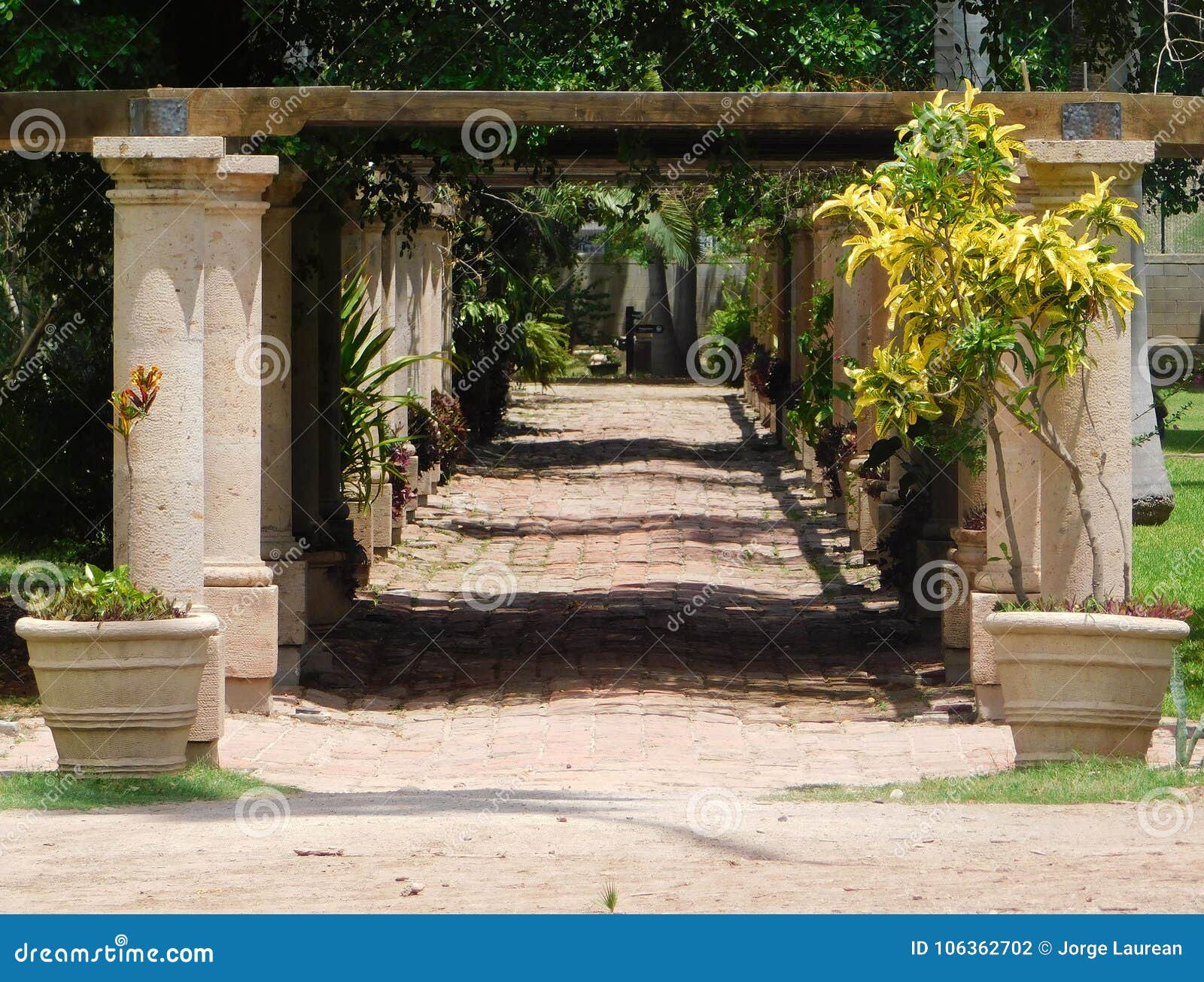 Plants and pillars path stock photo. Image of path, route - 106362702