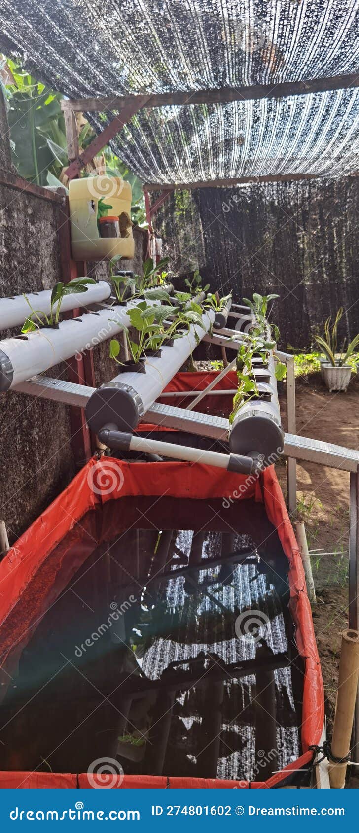 Plants in pipes stock photo. Image of flower, playground - 274801602