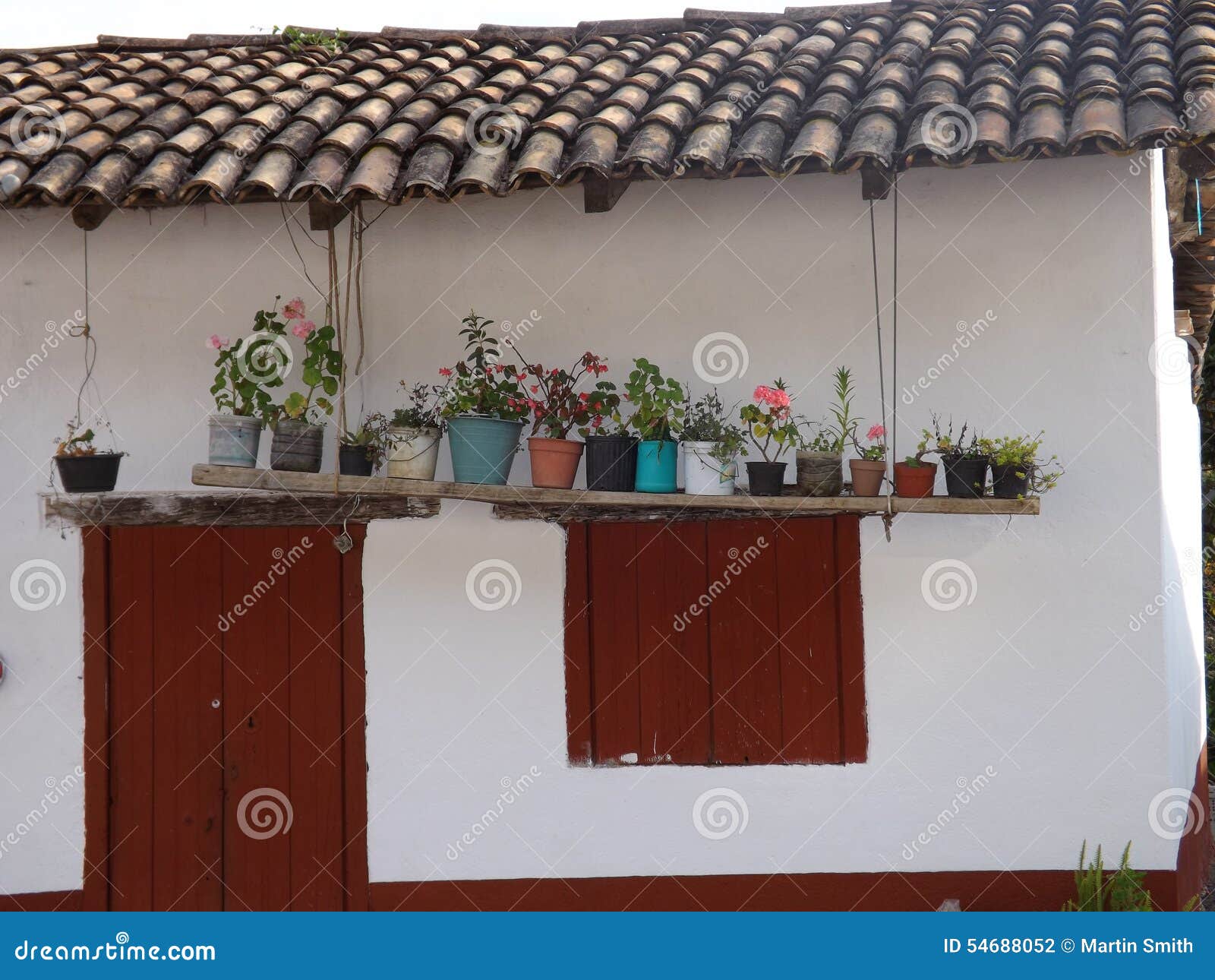 Plants on a plank stock photo. Image of baskets, tourism - 54688052
