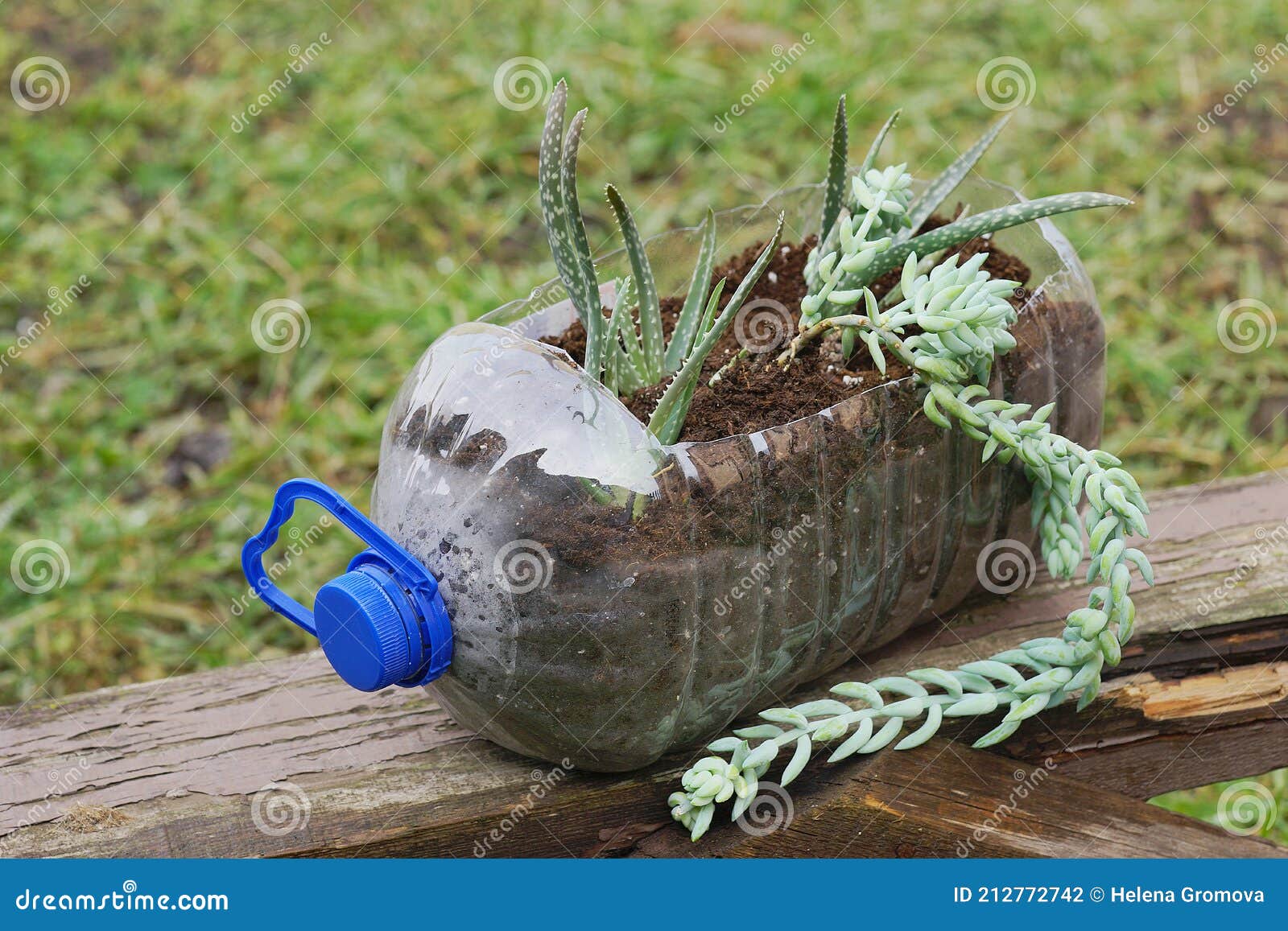 4,842 Plastic Things Stock Photos - Free & Royalty-Free Stock Photos ...