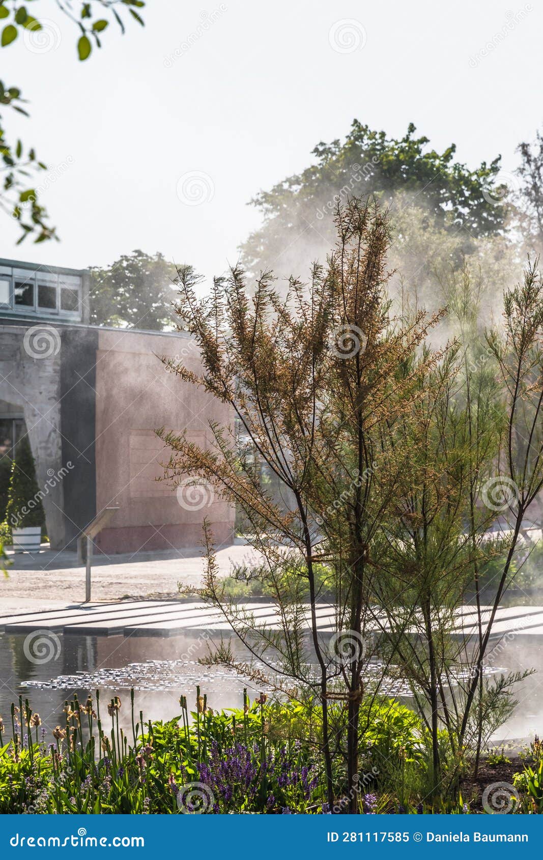 Plants by a Pond Being Sprinkled with Water from Behind Stock Image ...
