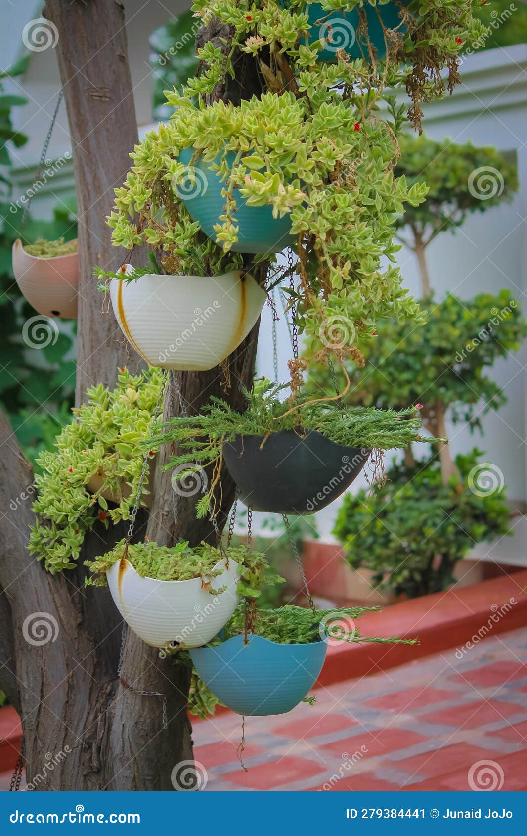Plants Portrait Image Wallpaper 1080p Full HD Stock Image - Image of ...