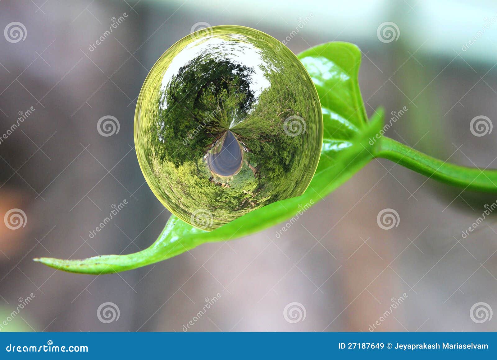 Plants protecting world stock image. Image of environmental - 27187649