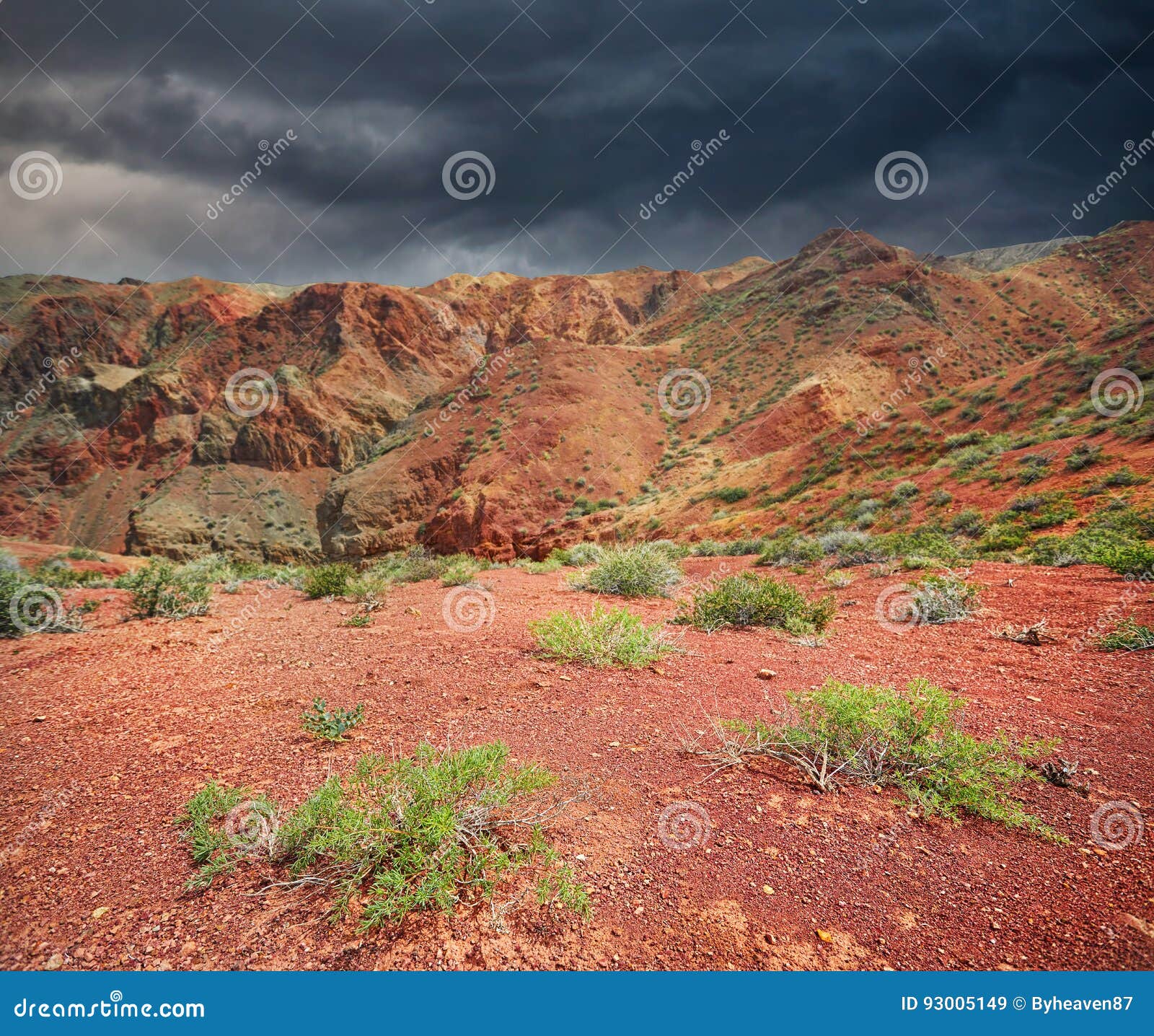 Plants in the red desert stock image. Image of mountain - 93005149