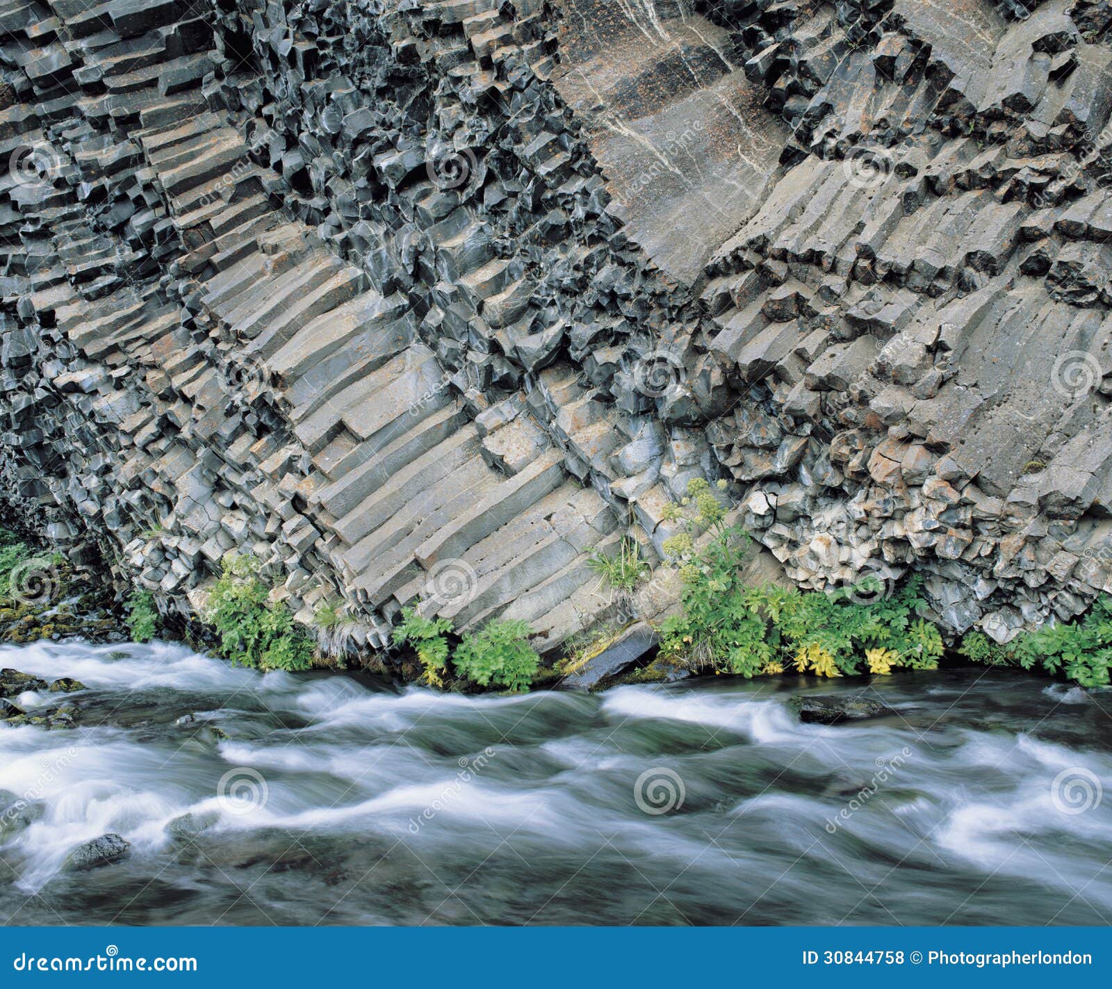 Plants and River at Base of Columnar Basalt Cliff Stock Photo - Image ...