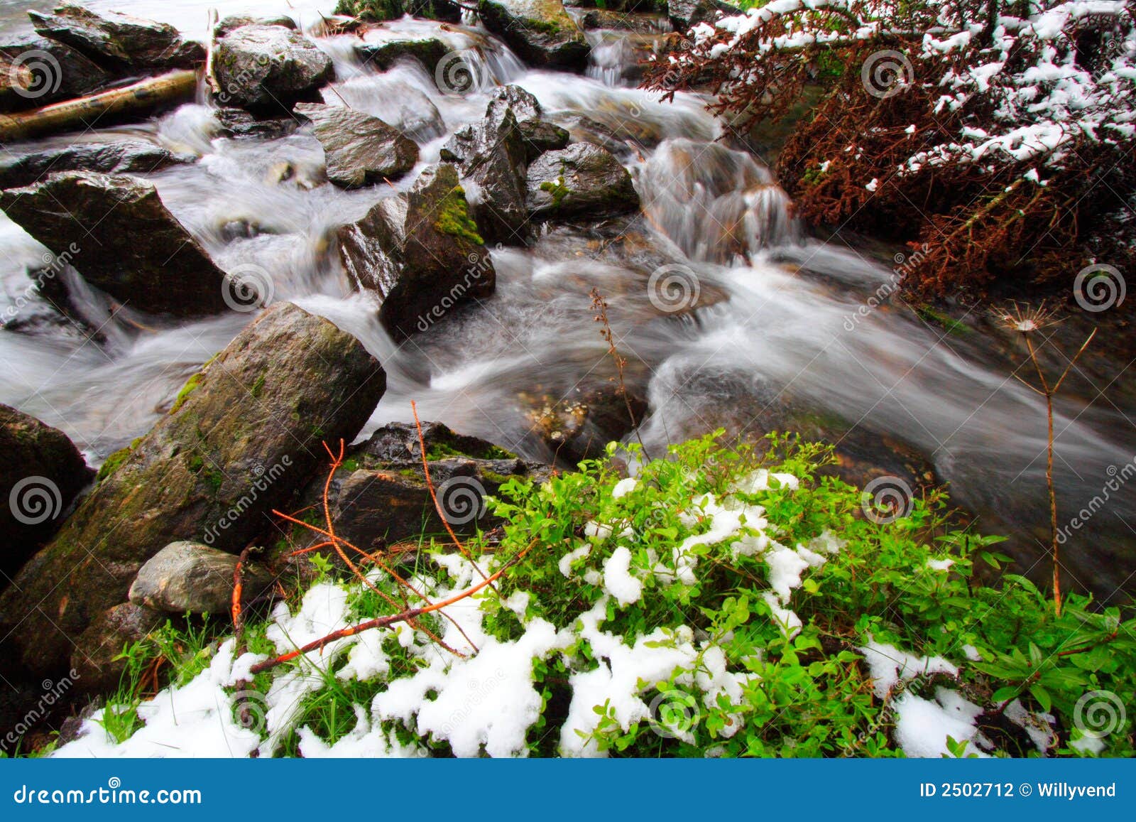 Plants, Rocks, Snow and River Stock Photo - Image of green, river: 2502712