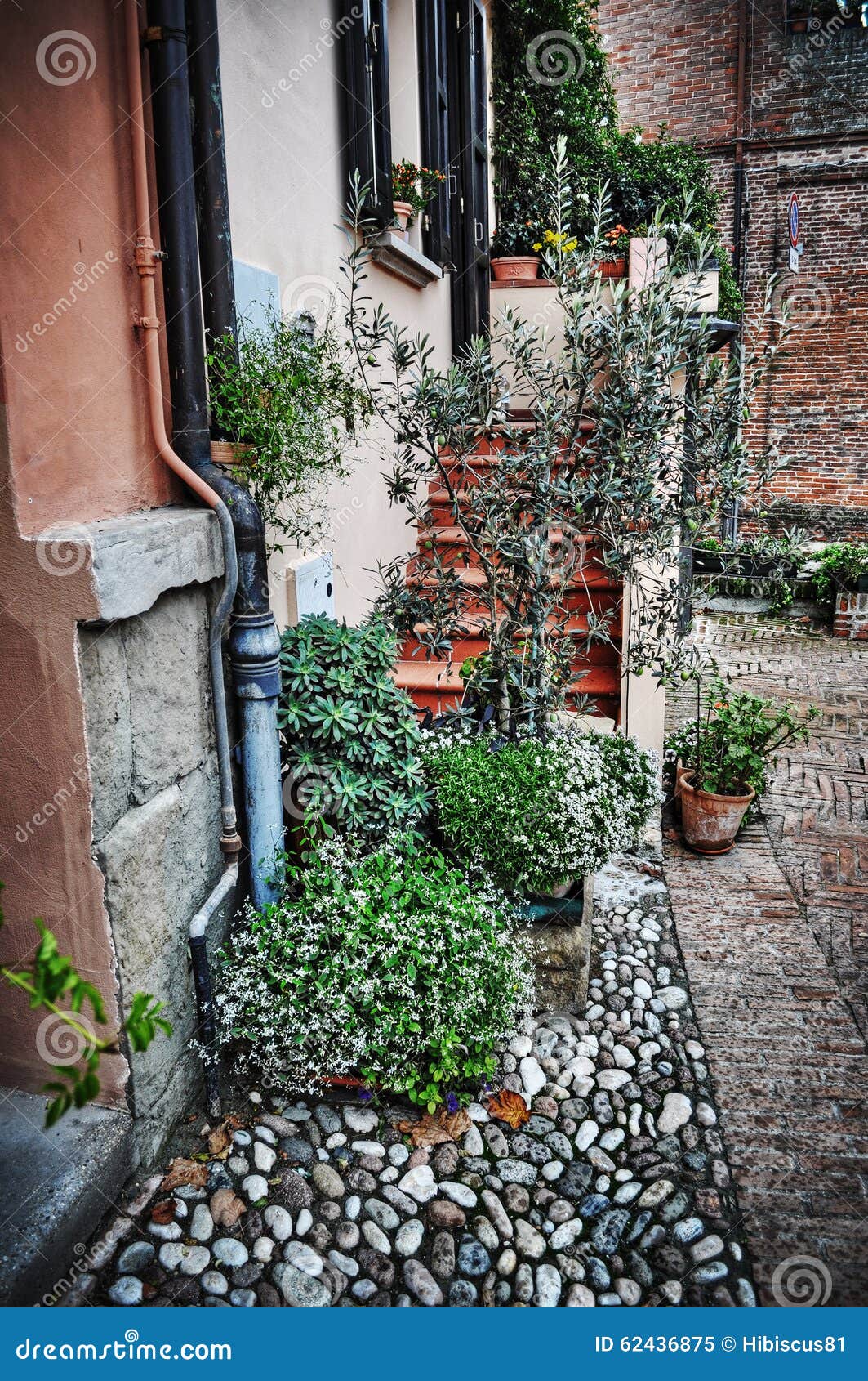 Plants in a Rustic House Entrance Stock Image - Image of beautiful ...