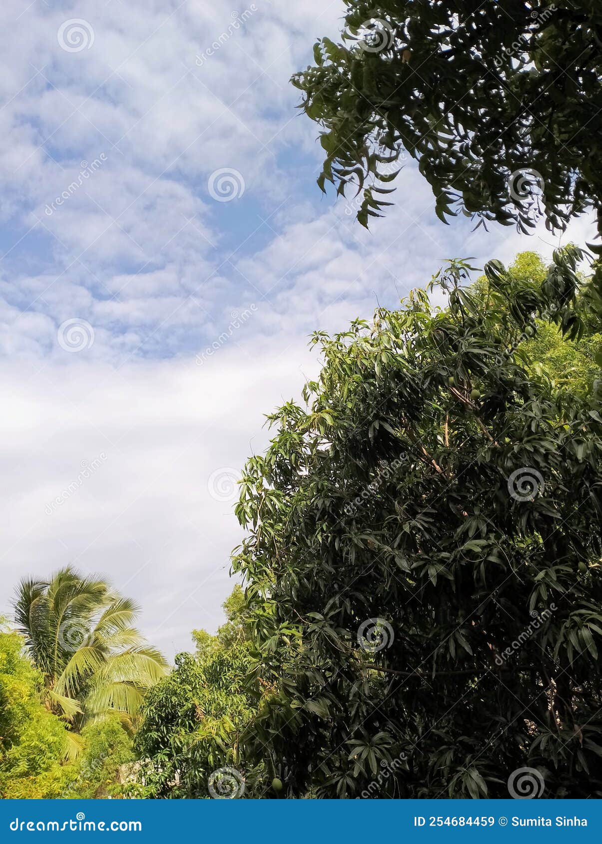 Plants are the Source of Fresh Environment. Stock Image - Image of ...