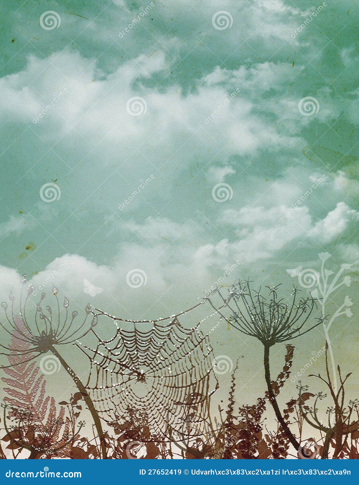 Spider Web Field Stock Illustrations – 215 Spider Web Field Stock ...