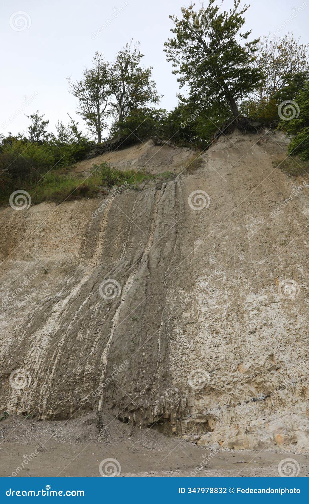 Plants and Trees on the Edge of the Cliff at Risk of Erosion and ...