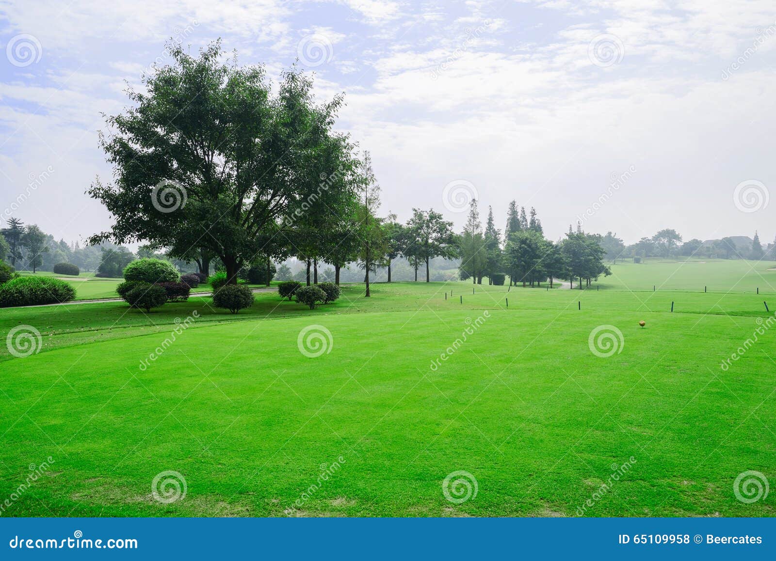 Plants and Trees on Golf Course in Sunny Autumn Stock Photo - Image of ...