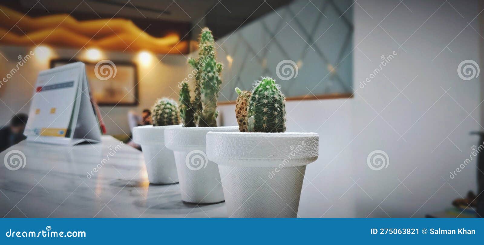 Plants and Trees Office Desk Indoor Stock Image - Image of indoor, desk ...