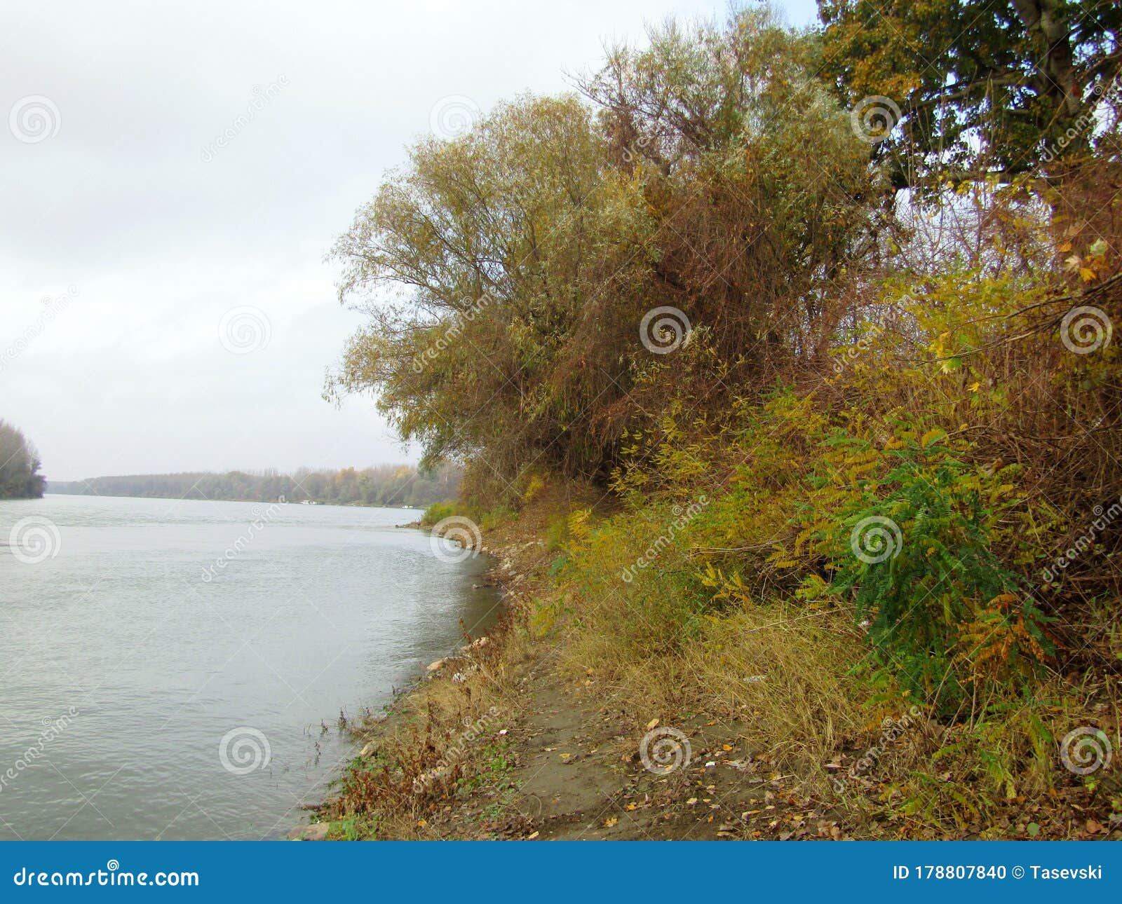 Plants, Trees and River during the Fall Stock Photo - Image of motion ...
