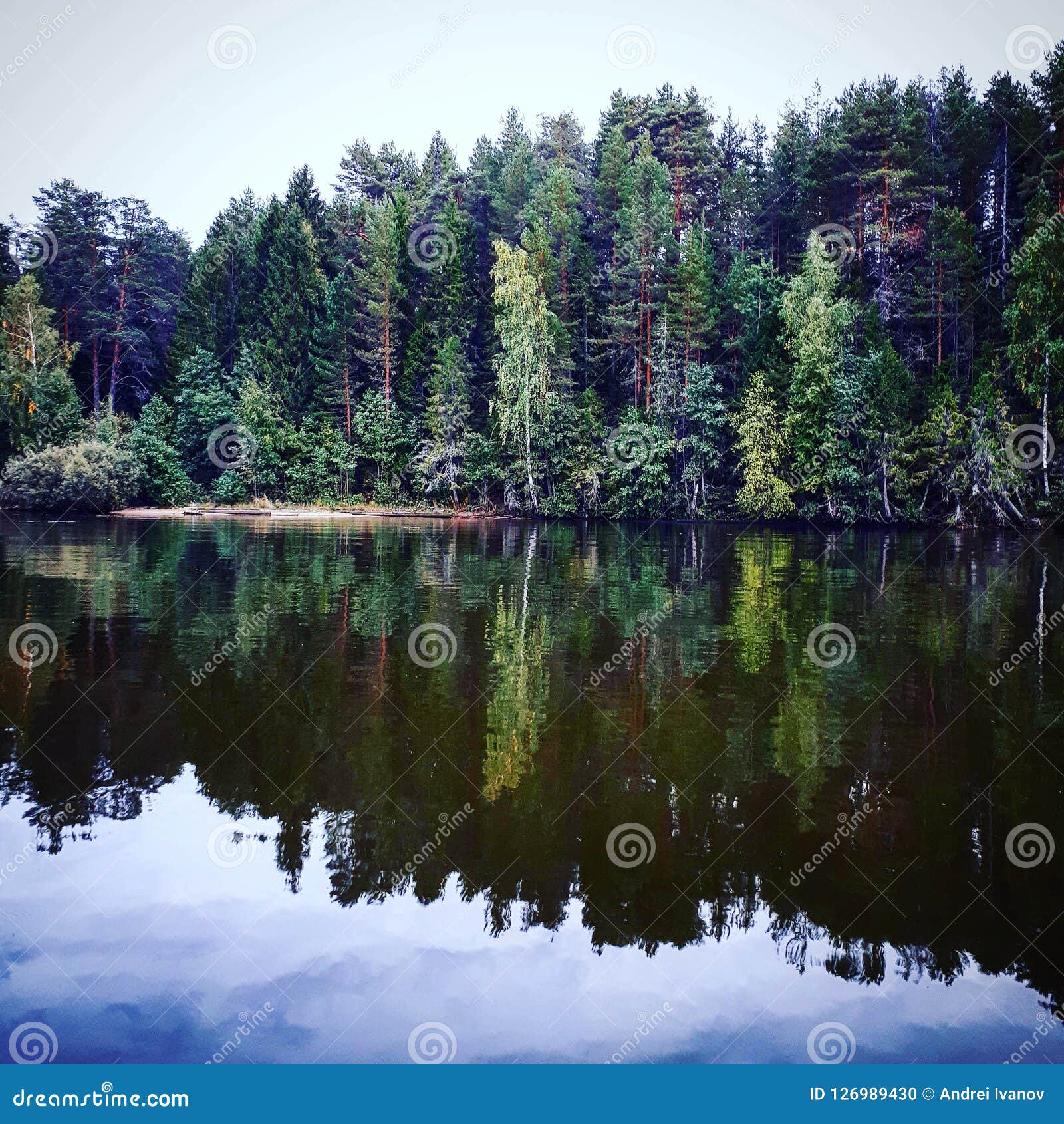 Riverside stock photo. Image of river, plants, riverside - 126989430