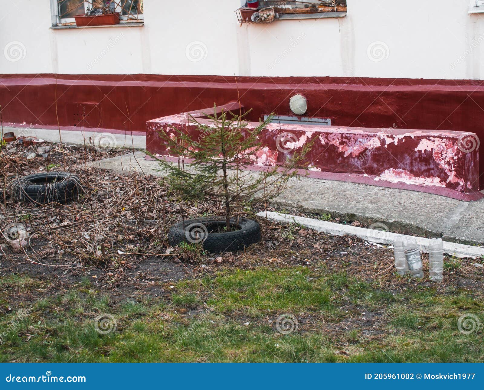 Plants Under the Windows of a High-rise Building in Spring Stock Photo ...