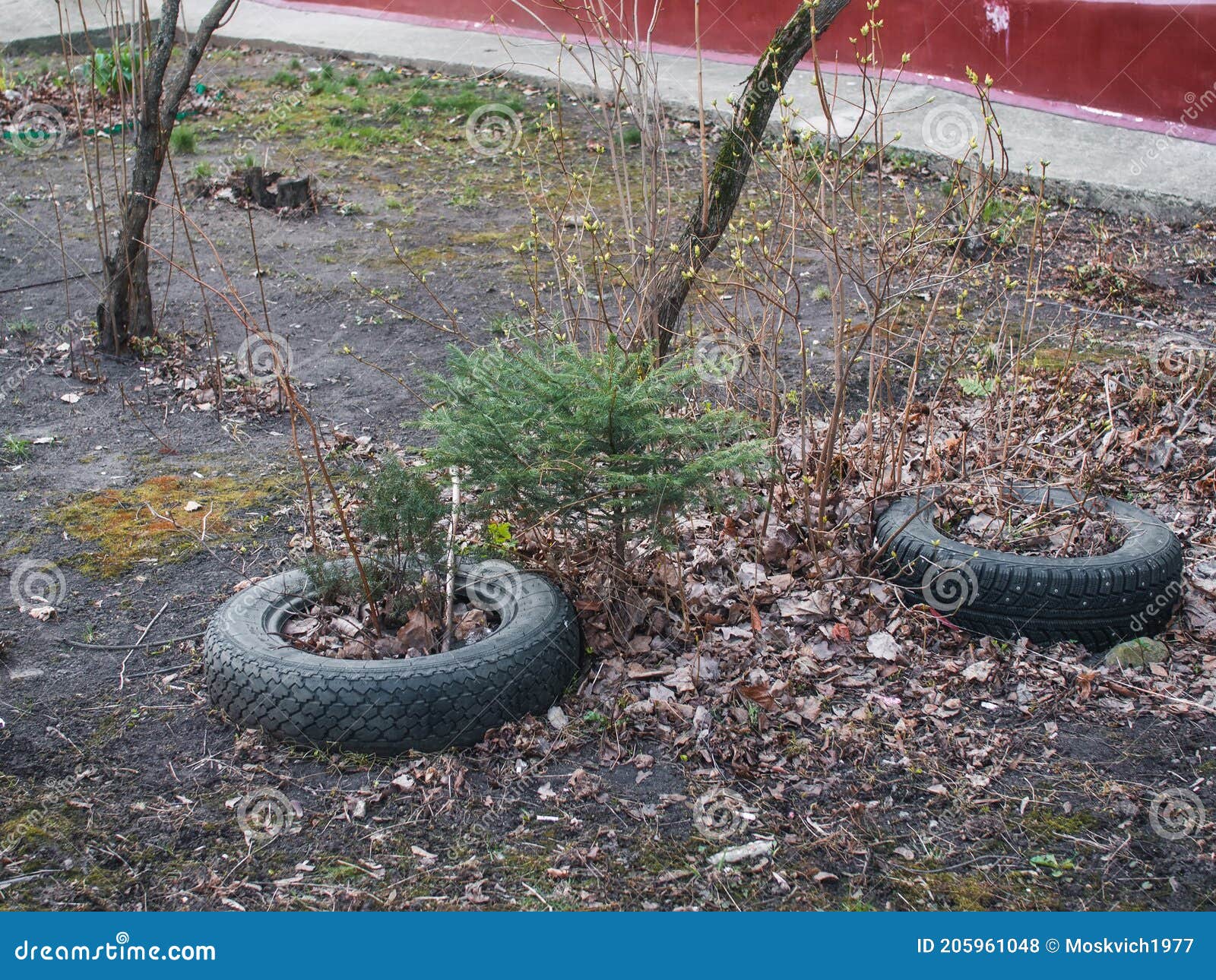 Plants Under the Windows of a High-rise Building in Spring Stock Photo ...