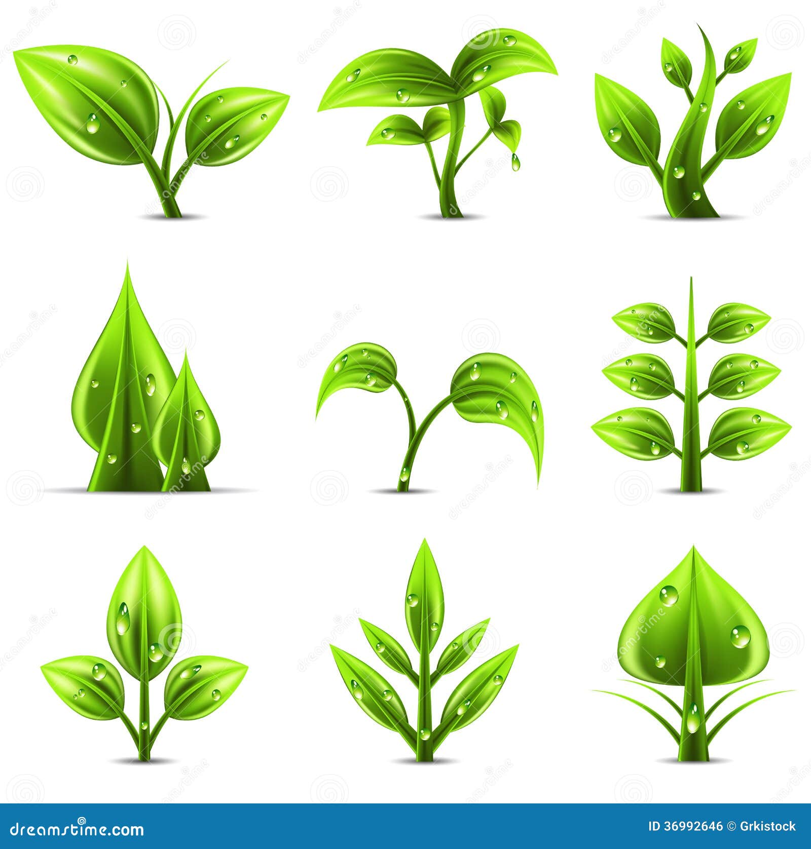 Plants stock vector. Illustration of collection, fresh - 36992646