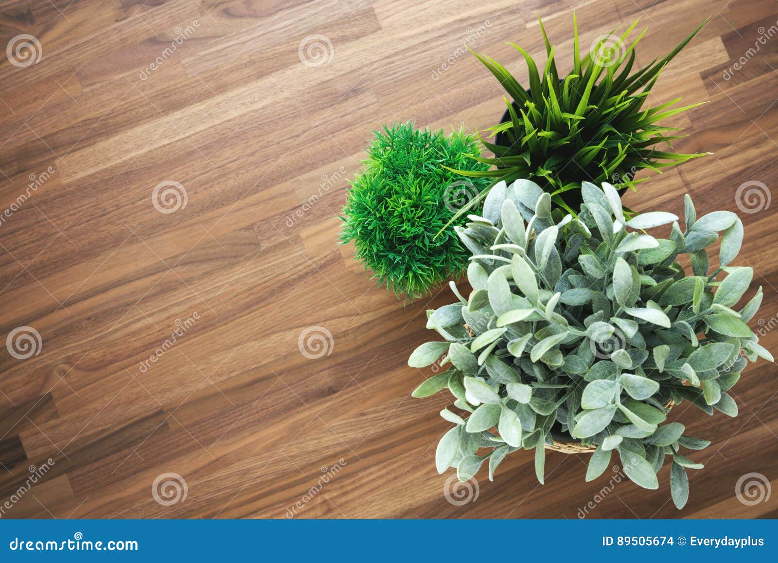 Plants on Wooden Office Desk Background Stock Photo - Image of green ...