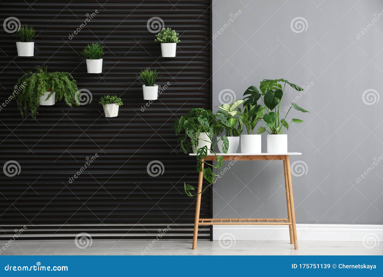 Plants on Table in Room. Stylish Interior Design Stock Image - Image of ...