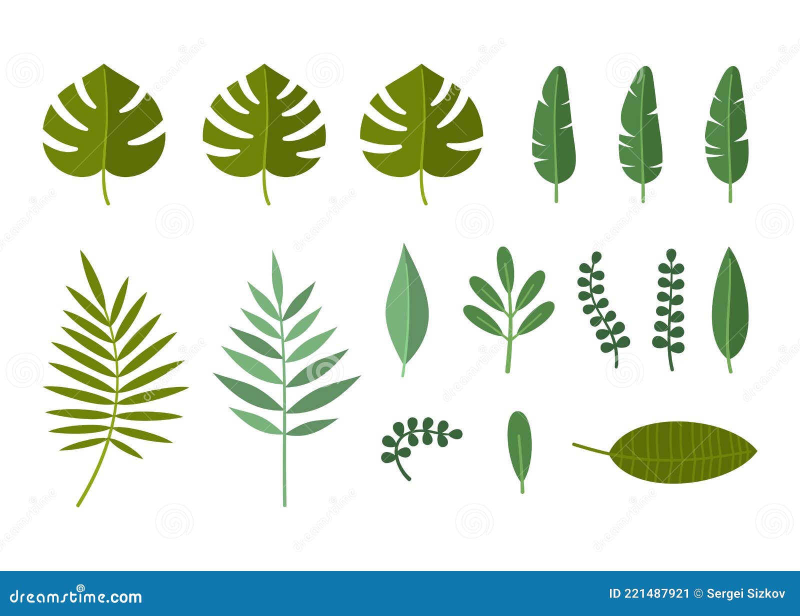 Plantule Tropicale Et Feuilles De Palmier. Vecteur Illustration de ...