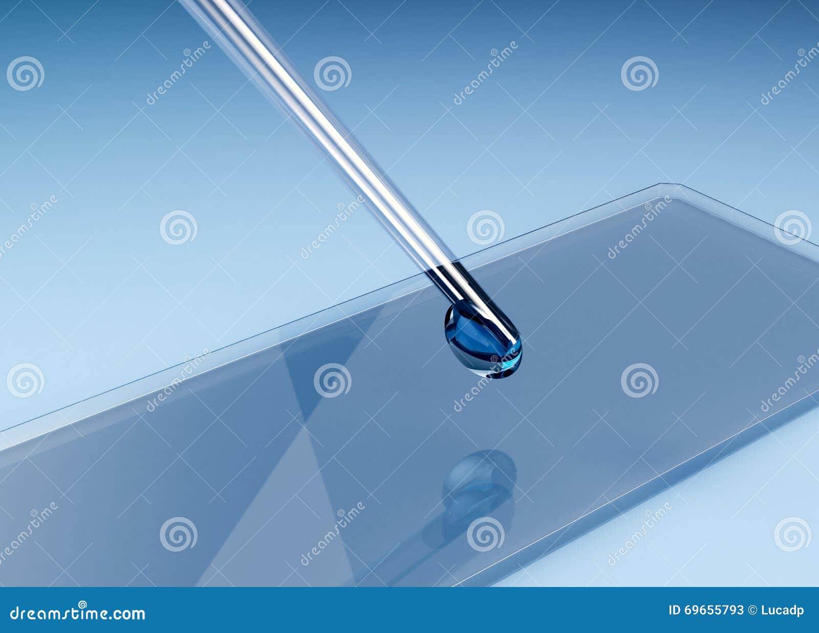Plaque En Verre Pour Le Microscope Avec Une Pipette Illustration Stock ...