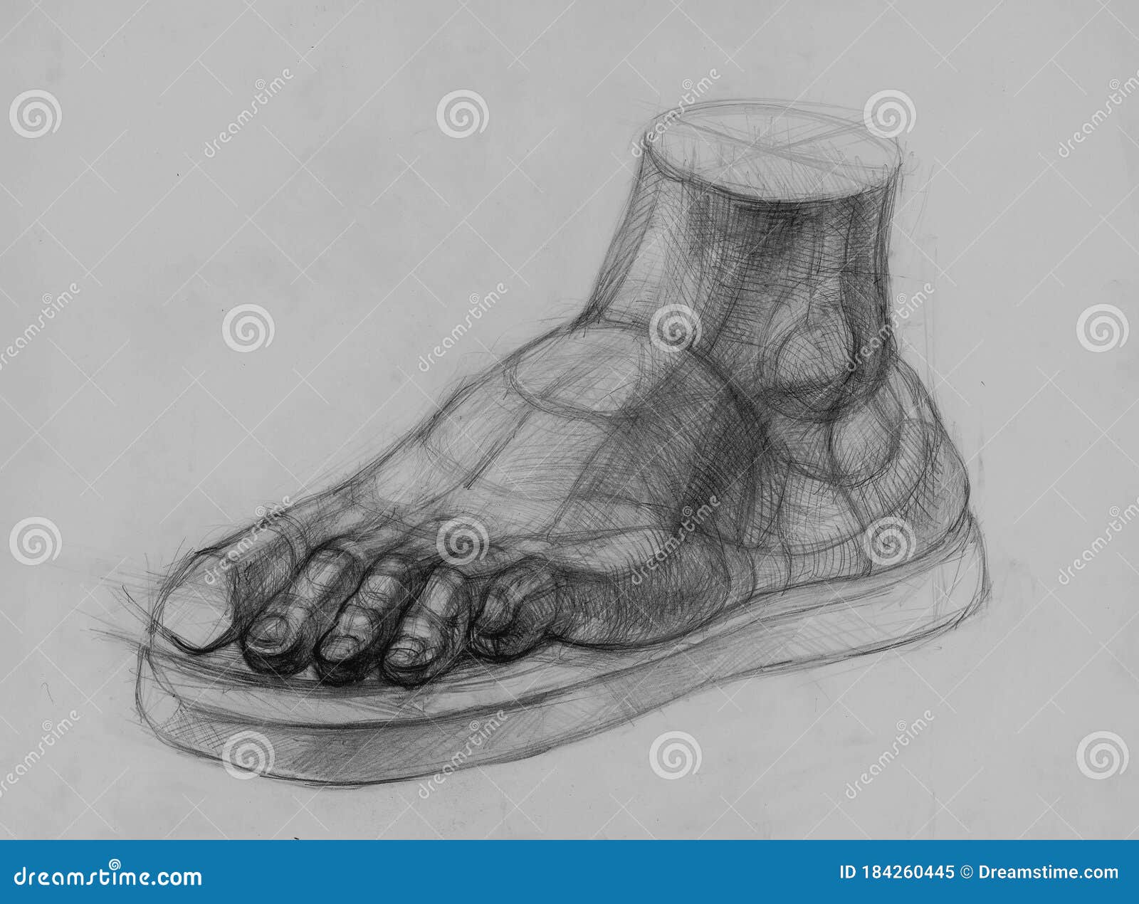 Plaser Leg, Academic Pencil Drawing. Stock Image - Image of foot, work ...