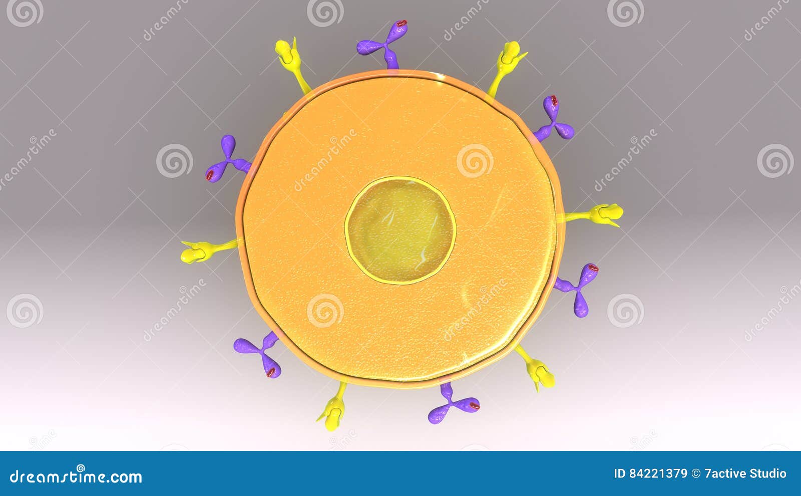Plasma Cell stock image. Image of abstract, anatomy, cellular - 84221379