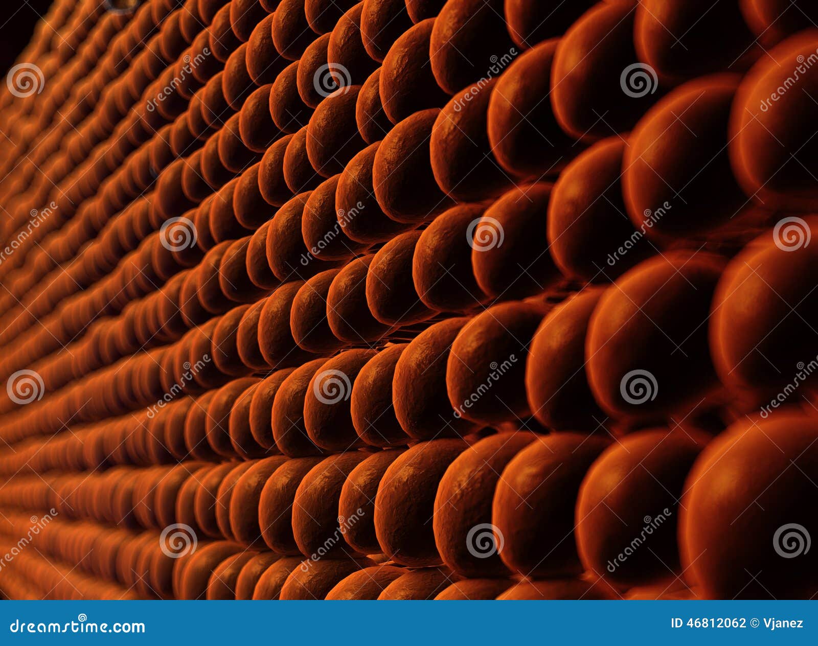 Plasma Membrane of a Cell stock photo. Image of membrane - 46812062