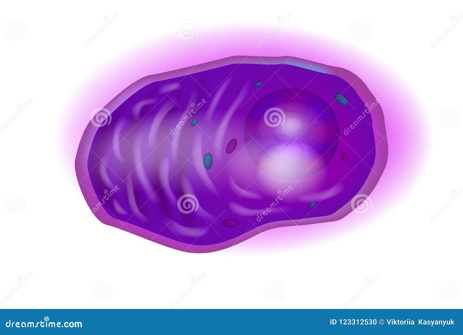 Plasmazellstruktur vektor abbildung. Illustration von zelle - 123312530