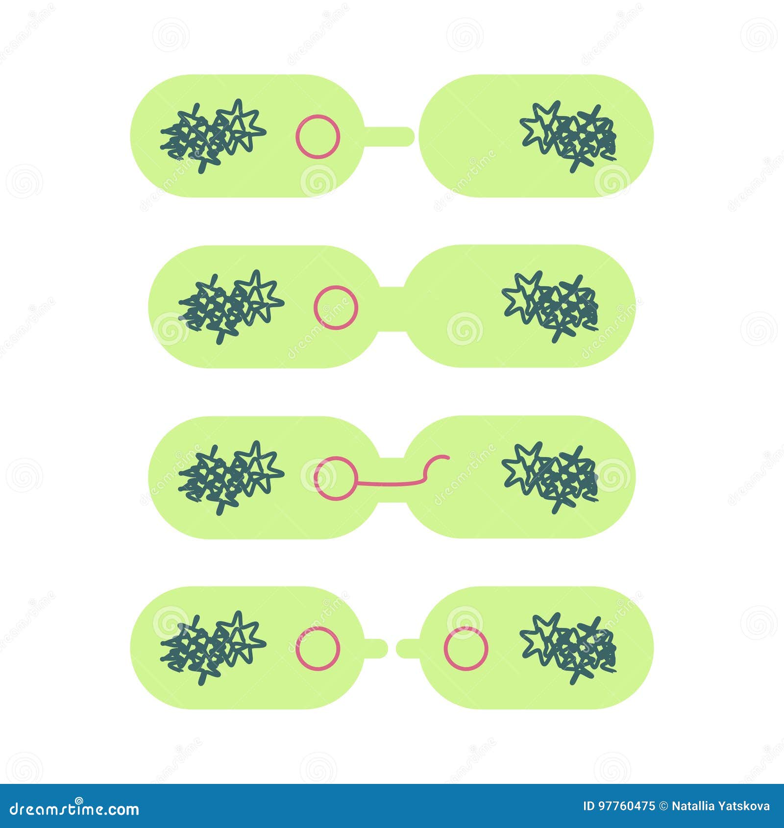 Plasmide in Cellula Batterica Illustrazione Vettoriale - Illustrazione ...