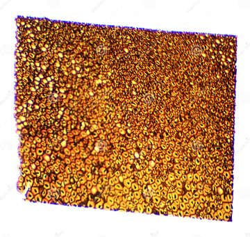 Plasmodesmata Slice Under the Microscope, (Plasmodesma Sec.) Stock ...