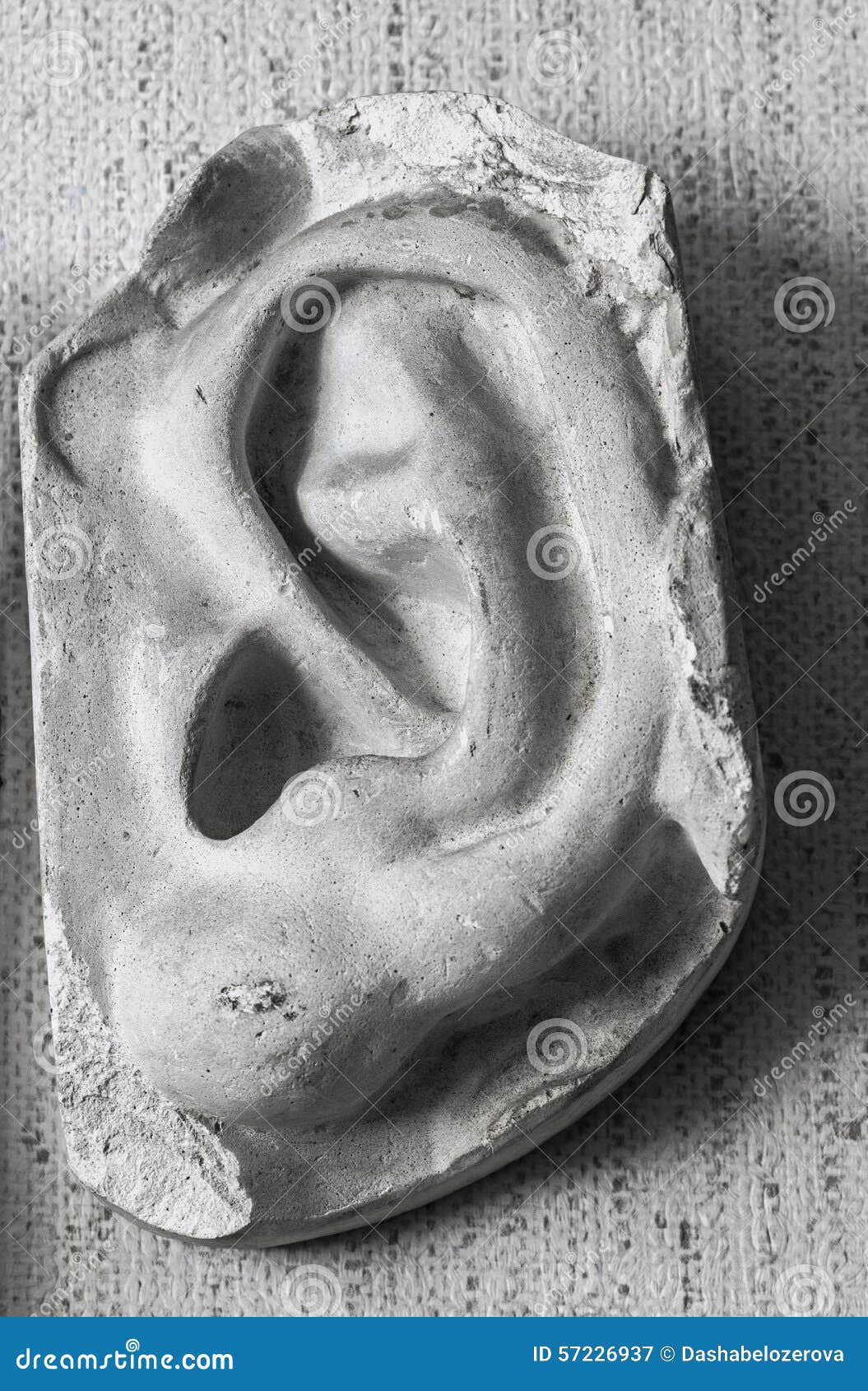 Plaster Ear Hanging on Wall Stock Image - Image of anatomy, surgery ...