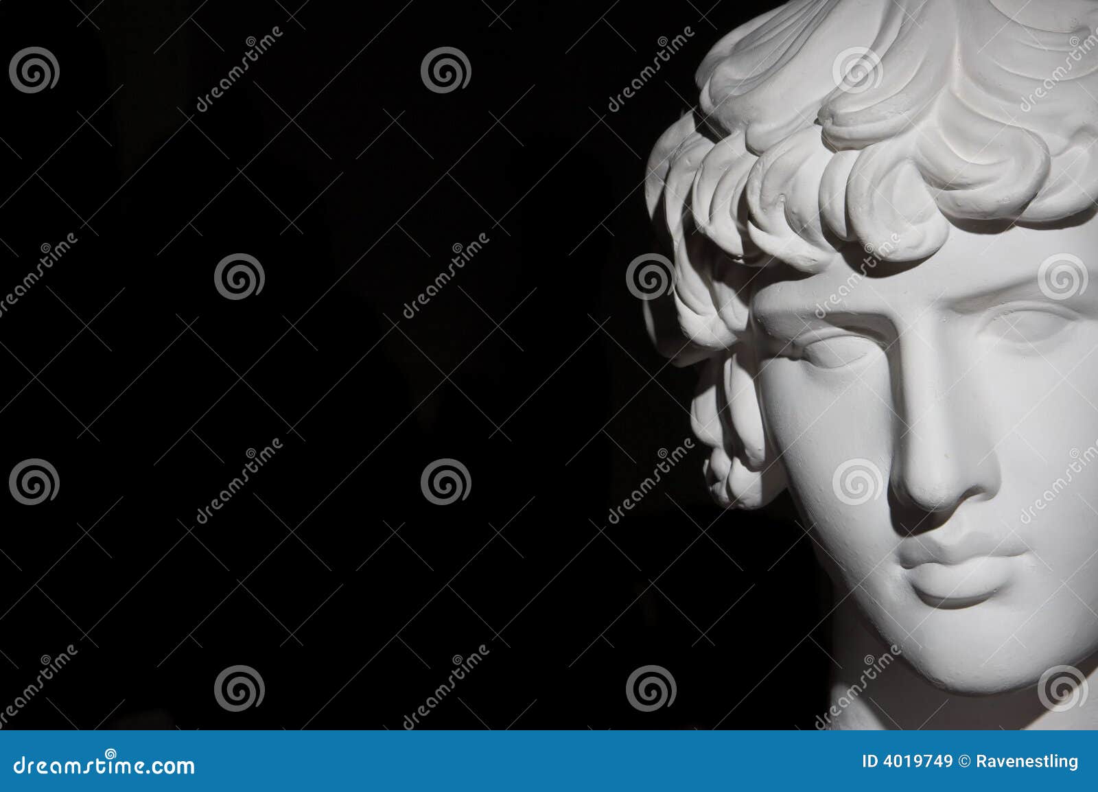 Plaster head stock image. Image of human, model, sculpture - 4019749