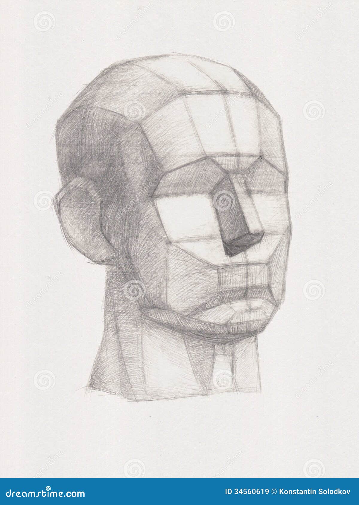 Plaster Head Of David. Bust For Studying Academic Drawing Vector ...