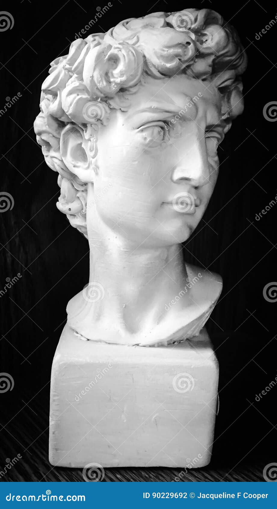 A plaster male statue bust stock photo. Image of greek - 90229692