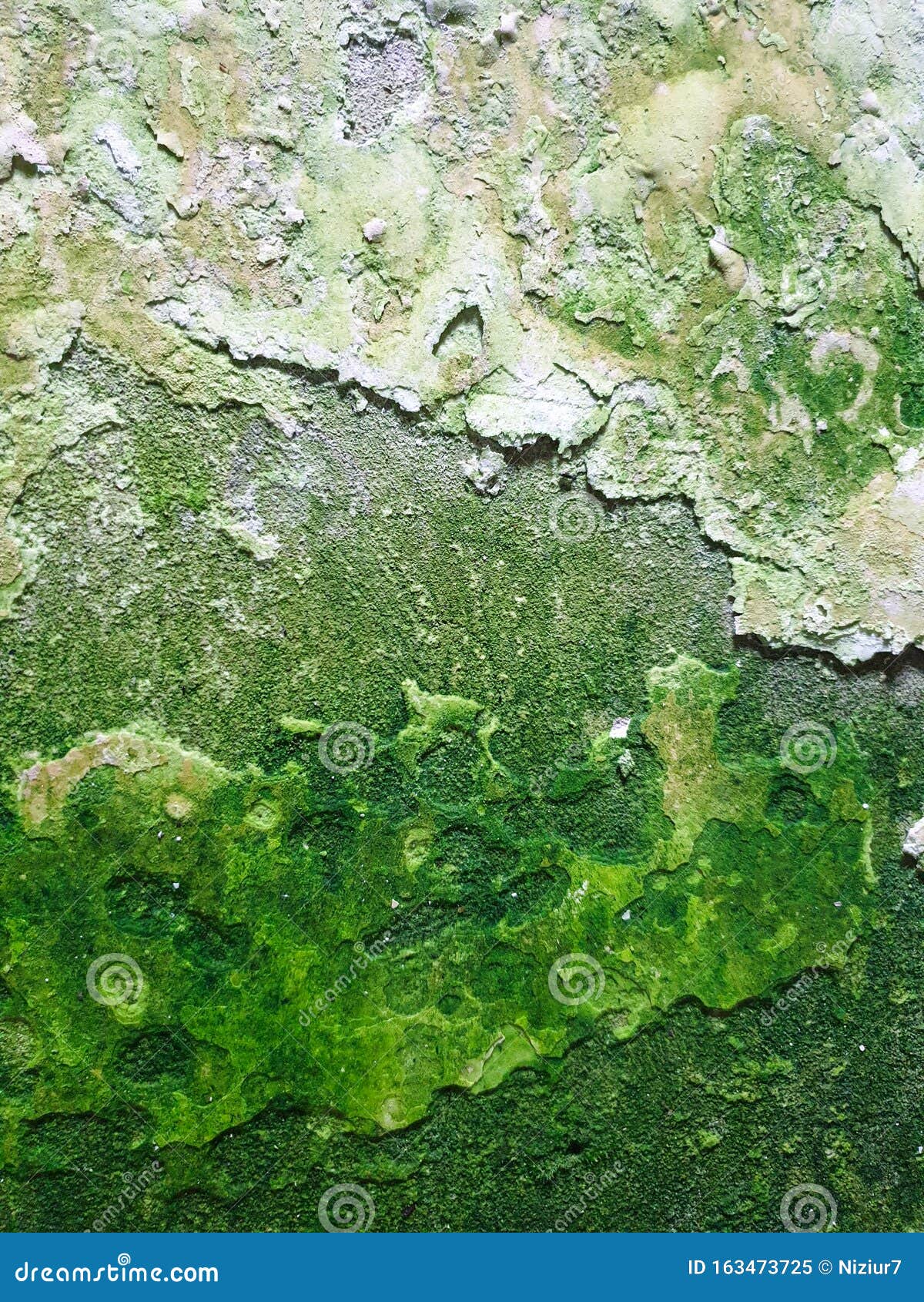 Plaster and Paint Falling Off the Wall Stock Image - Image of garden ...