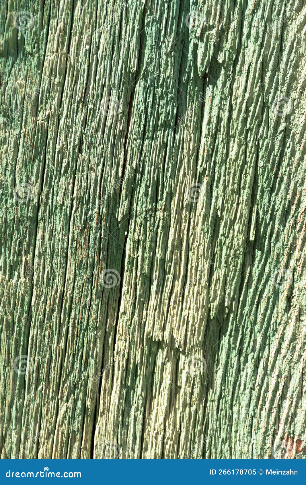 Plaster Wall Textured with Lines in Light Green Color Stock Image ...