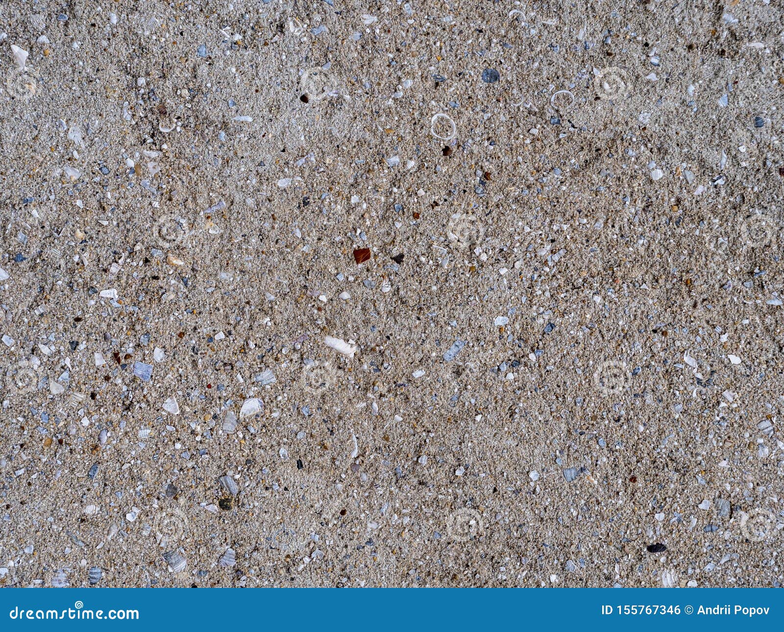 Plastered Surface. Stucco with Small Shells and Pebbles Stock Photo ...