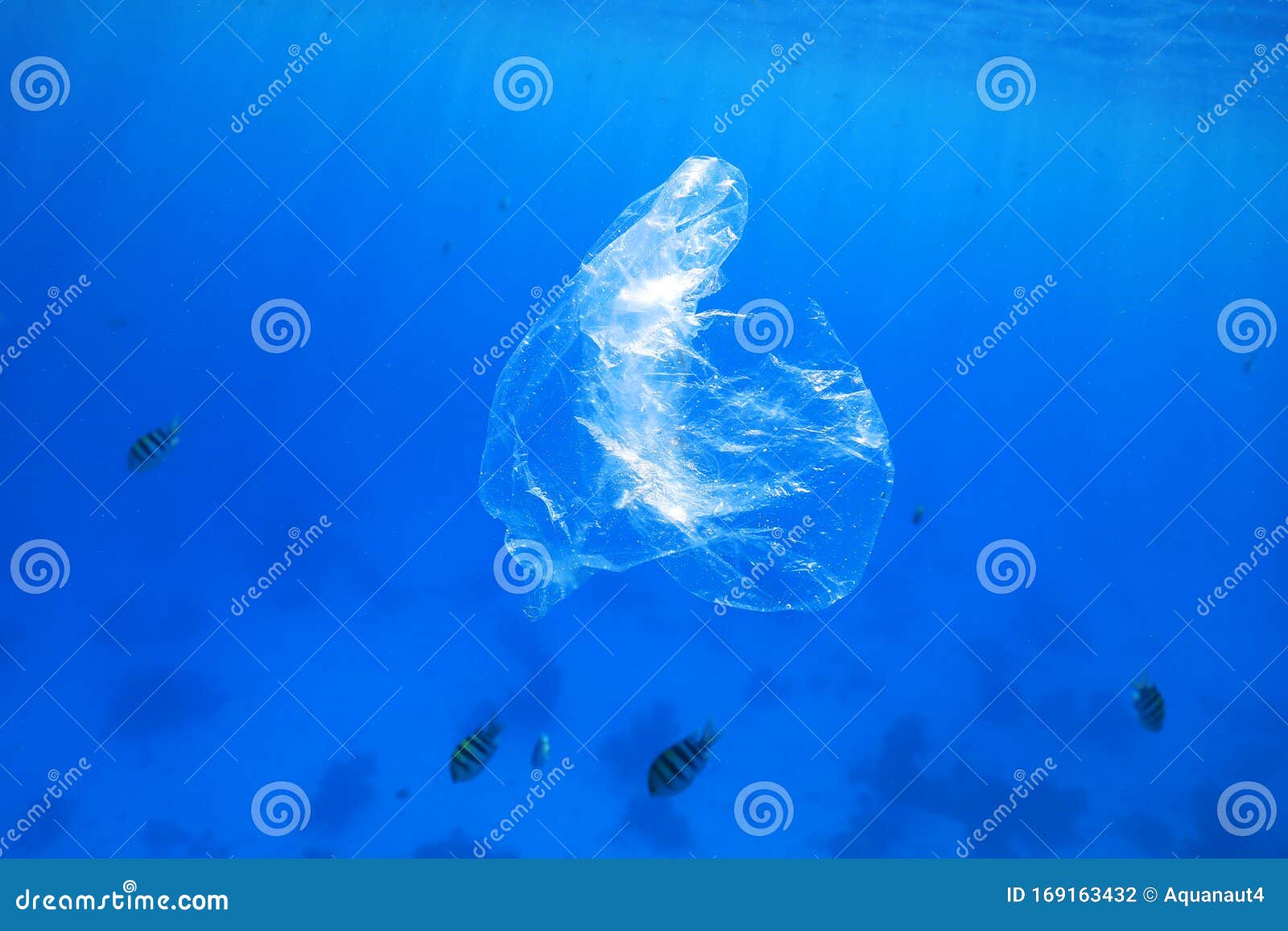 Plastic bag in the ocean stock photo. Image of pacific - 169163432
