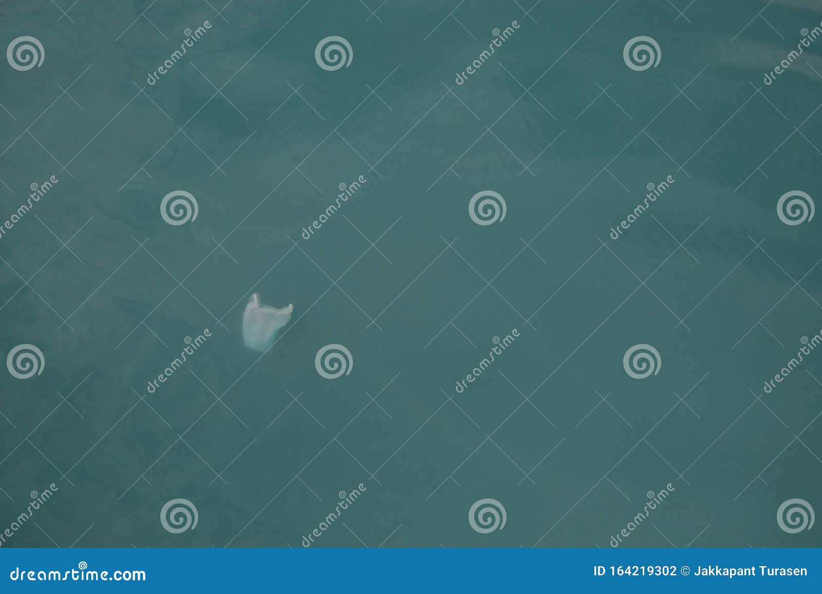 Plastic Bag Floating in the Ocean, Plastic Pollution in Ocean, Plastic ...