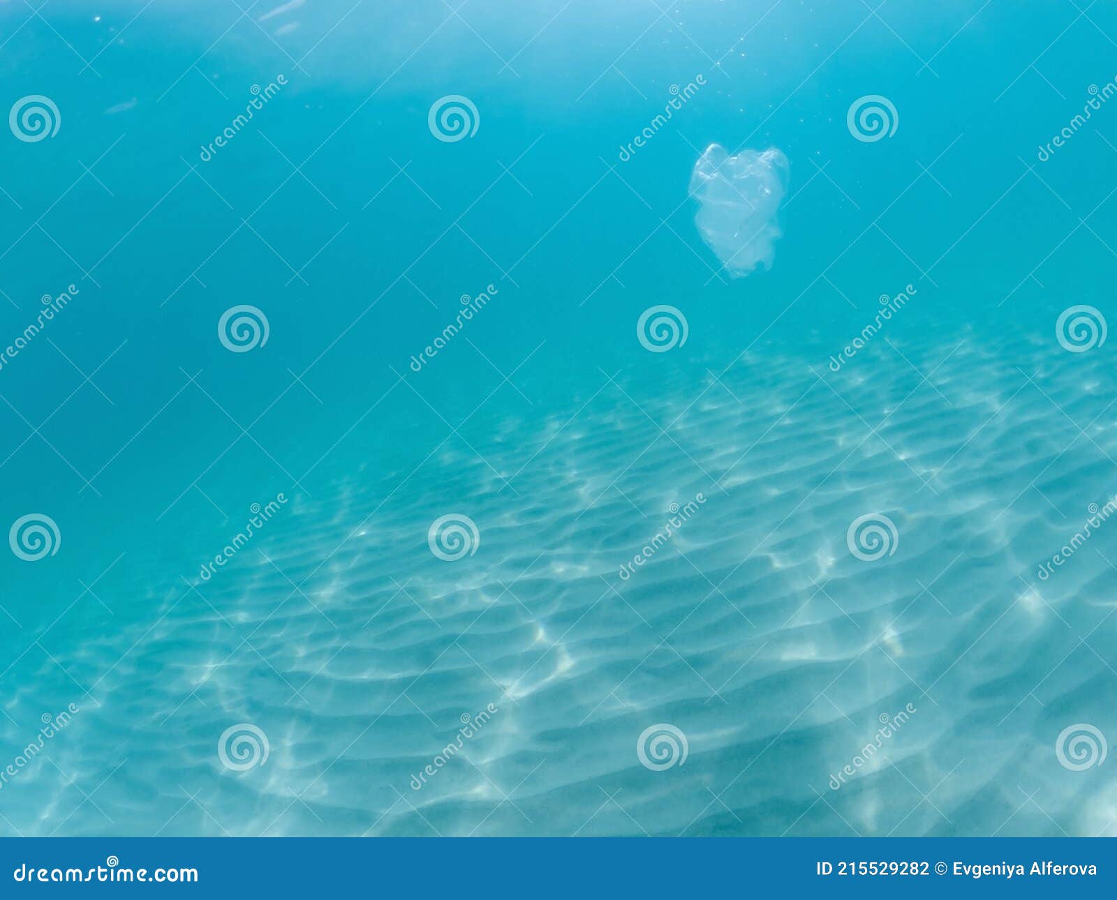 Plastic Bag Floating in the Ocean, Underwater Waste. Ocean Pollution ...