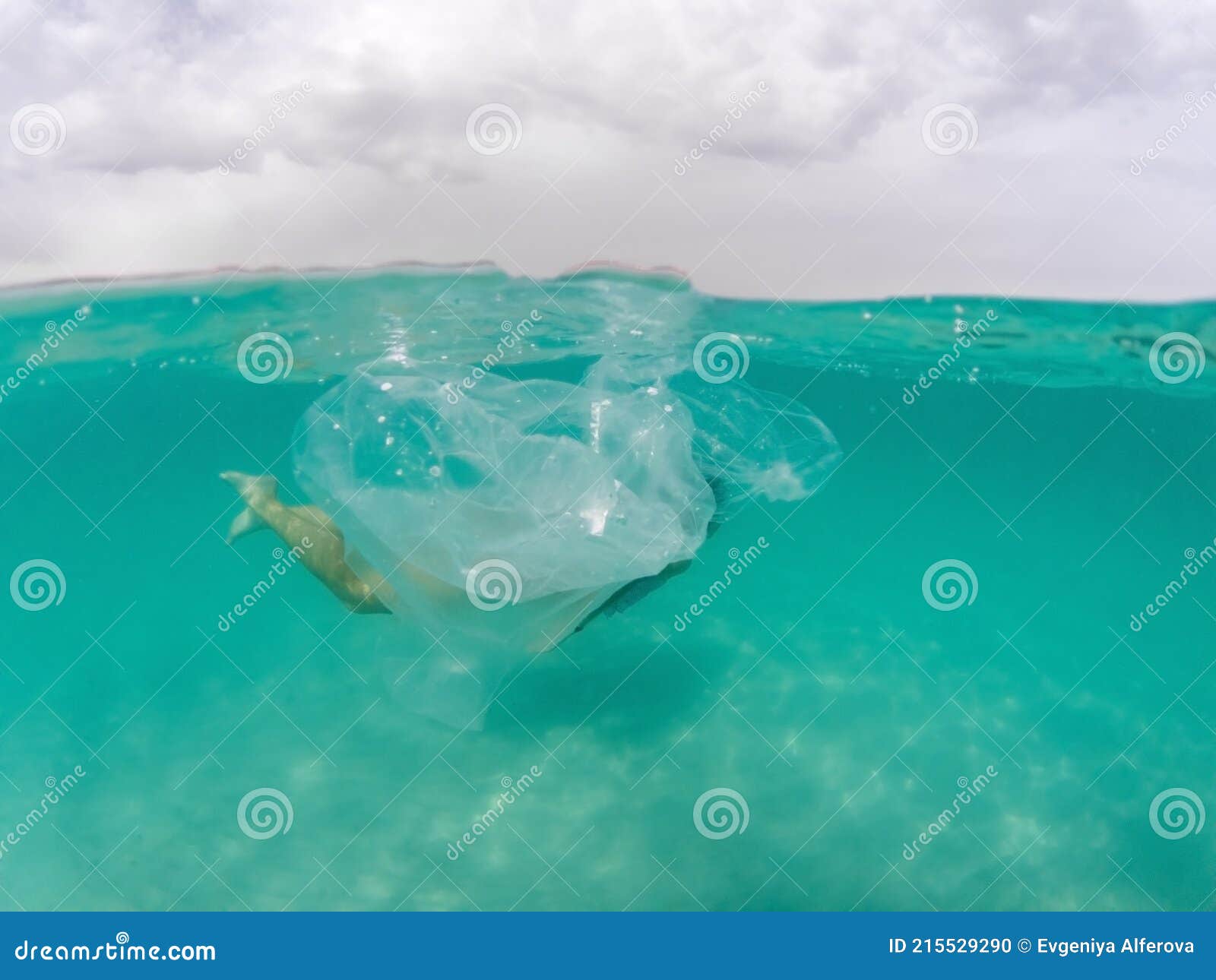 Plastic Bag Floating in the Ocean, Underwater Waste. Ocean Pollution ...