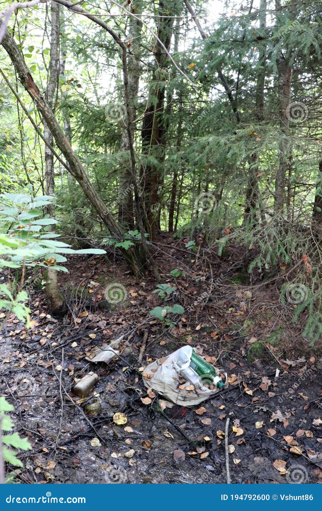 A Plastic Bag with Garbage is Thrown in the Forest. Human Littering of ...