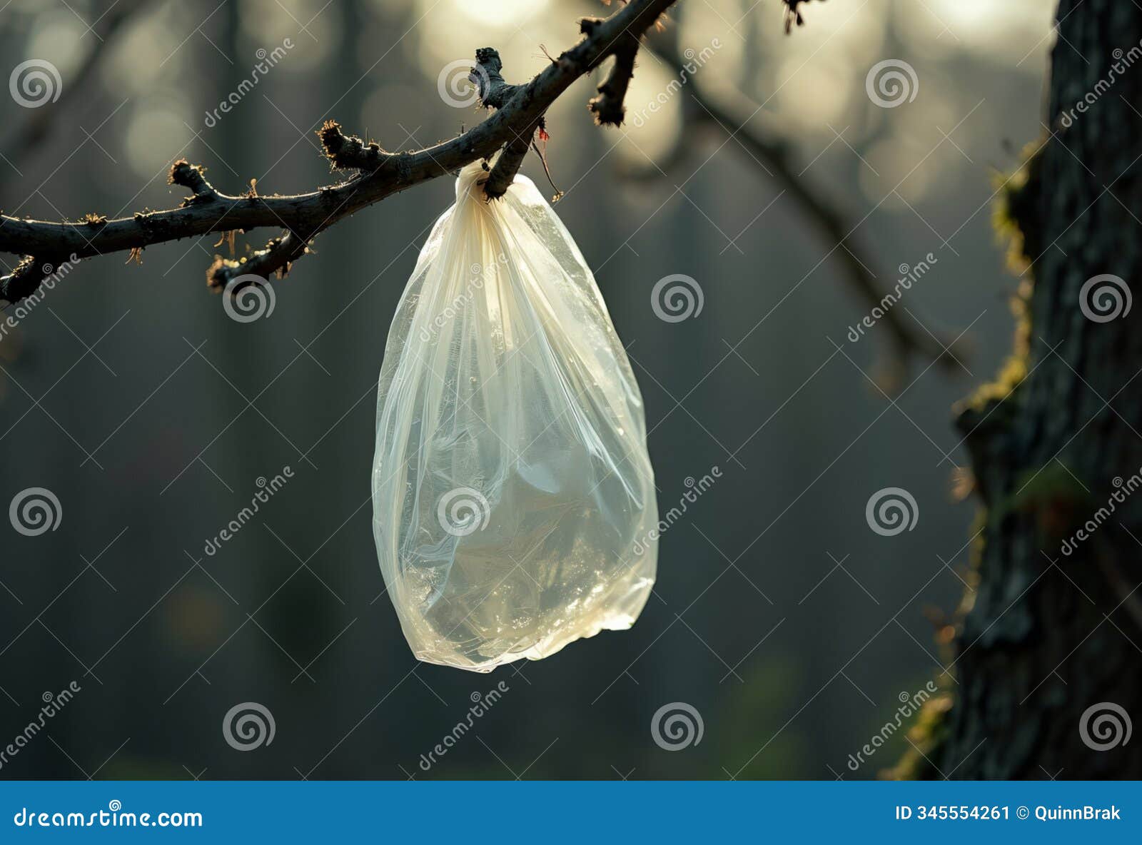 Plastic Bag Hanging from a Tree Branch Stock Illustration ...