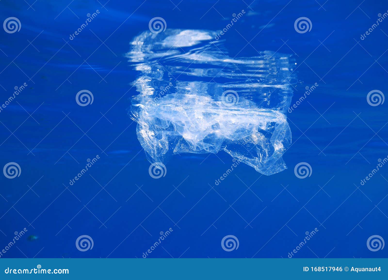 Plastic bag in the ocean stock photo. Image of harmful - 168517946
