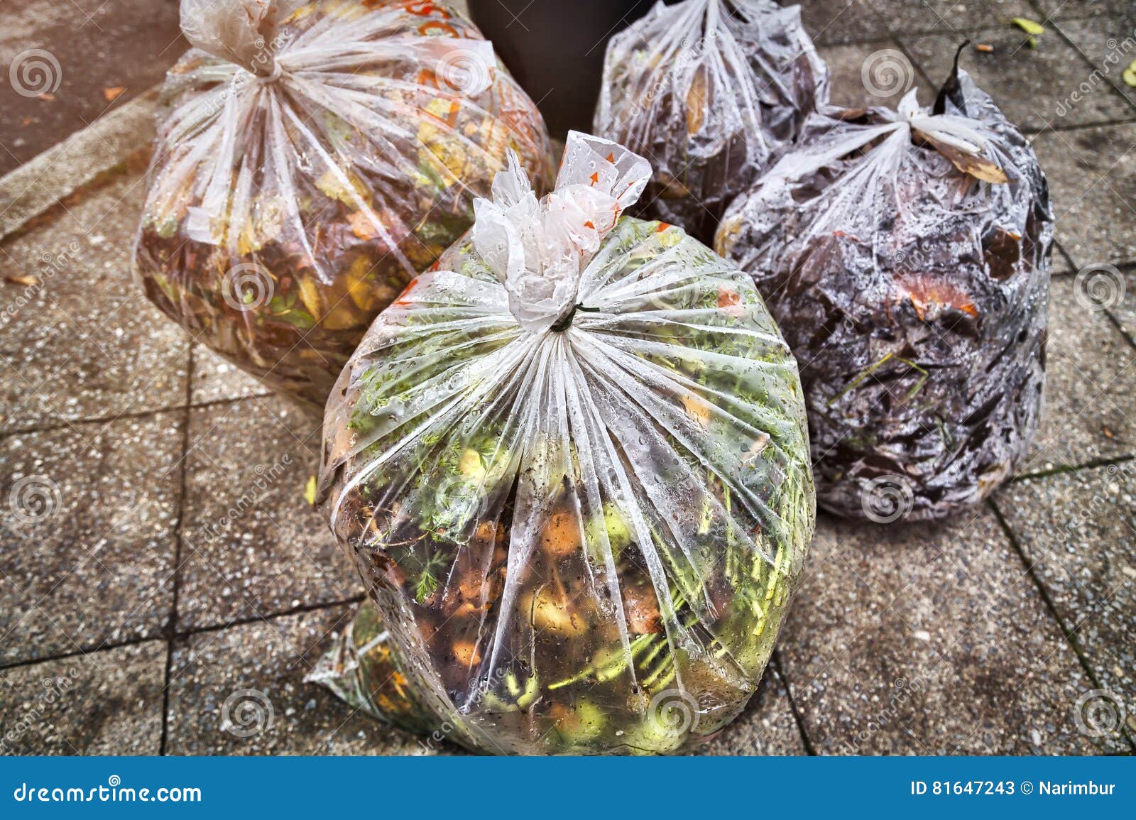 Plastic Bag with Plant Waste Stock Image - Image of environment, junk ...