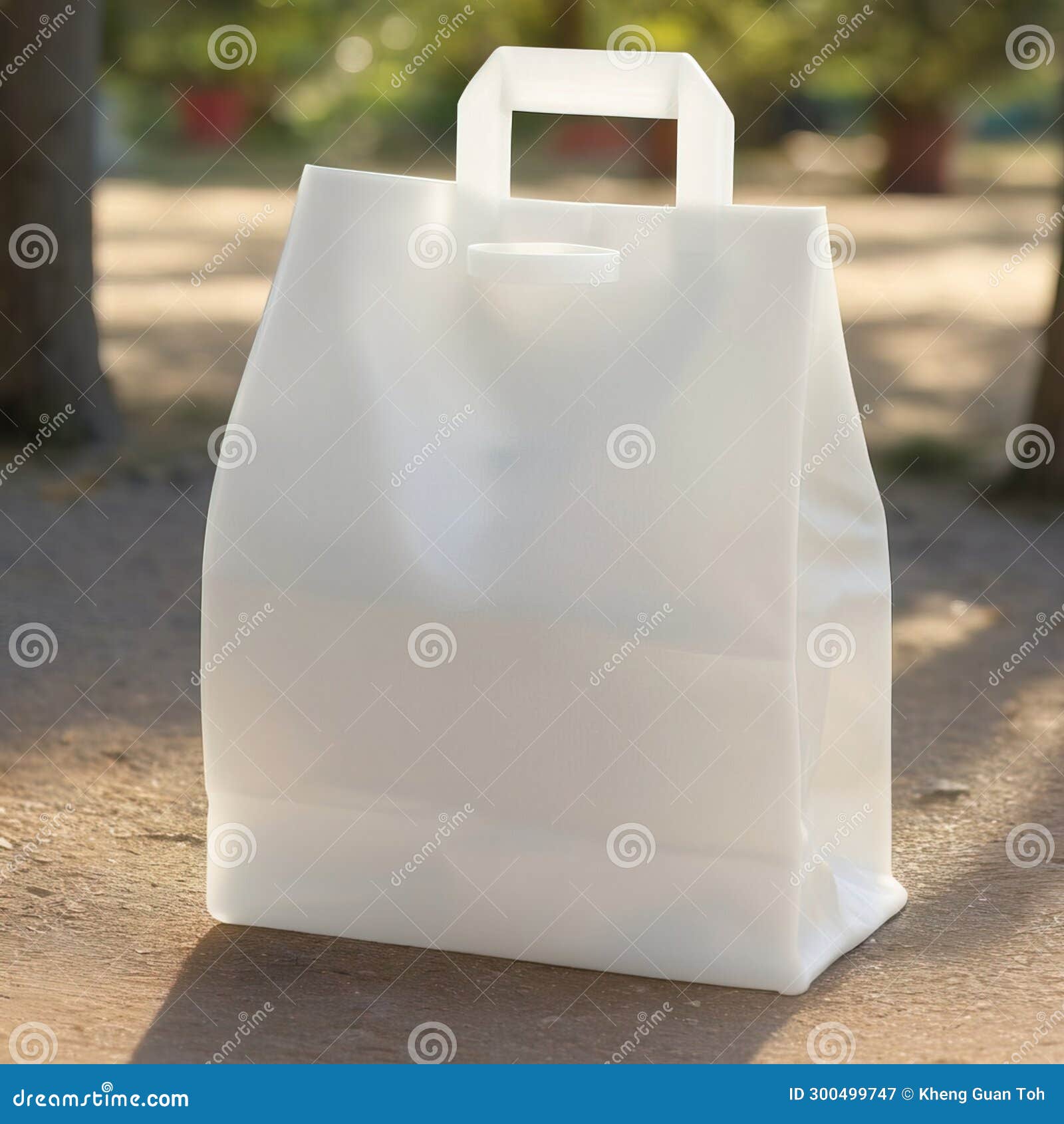 Plastic Bag Pouch, Generic Blank Product Packaging Mockup Stock ...