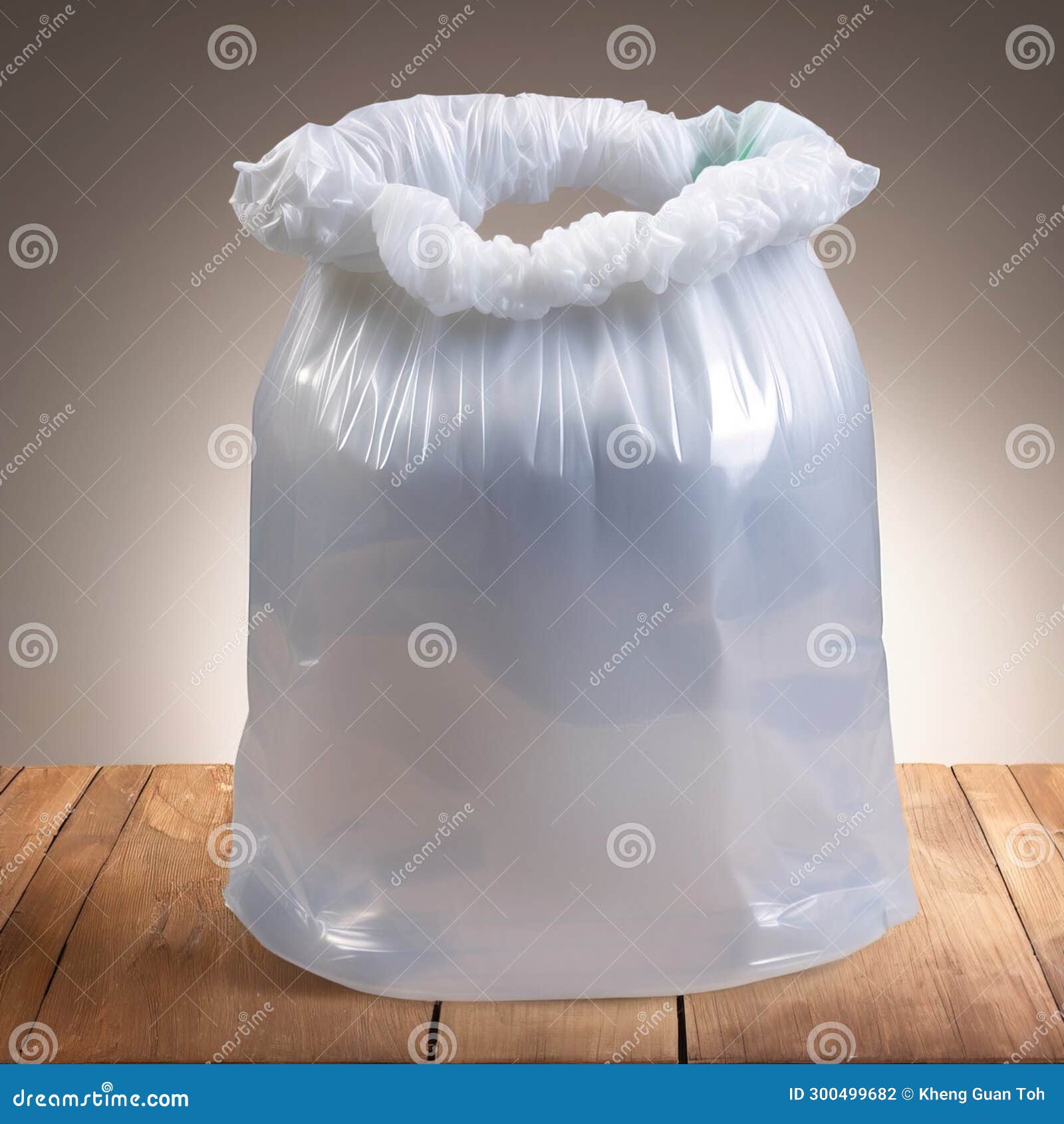 Plastic Bag Pouch, Generic Blank Product Packaging Mockup Stock ...