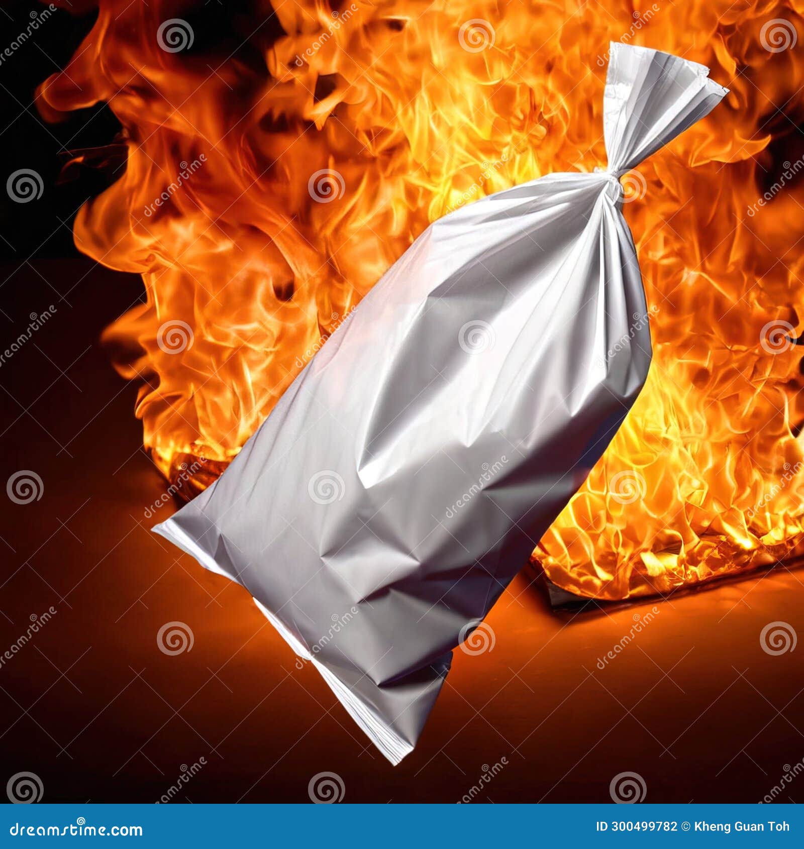 Plastic Bag Pouch, Generic Blank Product Packaging Mockup Stock ...